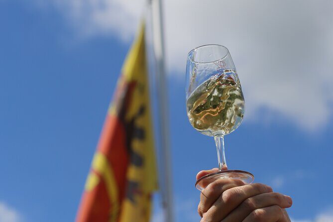 Geneva Panoramic & Tasting Vineyards Tour in an Tuk Tuk - Practical Tips for Booking and Participation