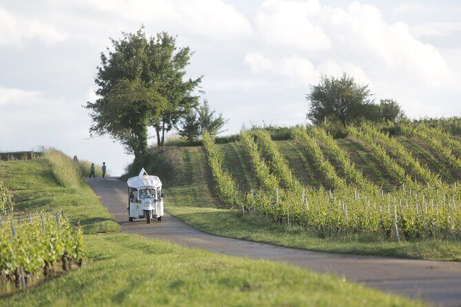 Geneva Panoramic & Tasting Vineyards Tour in an Tuk Tuk - FAQ