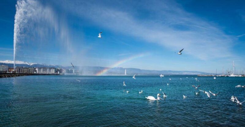 Geneva: Scenic Lake Cruise with Snacks and Wine - A Detailed Look at the Experience