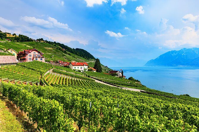 Geneva to Gruyère Private Day Trip. Cheese & Chocolate Tour - What Does the Price Cover? Is It Good Value?