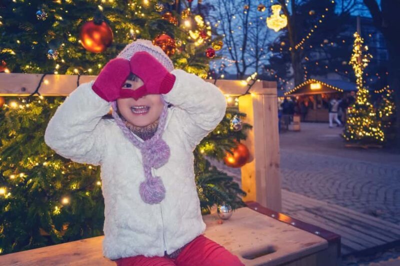 Genevas Winter Wonderland: A Festive Christmas Private Tour - Ending in a Winter Wonderland at Parc des Bastions