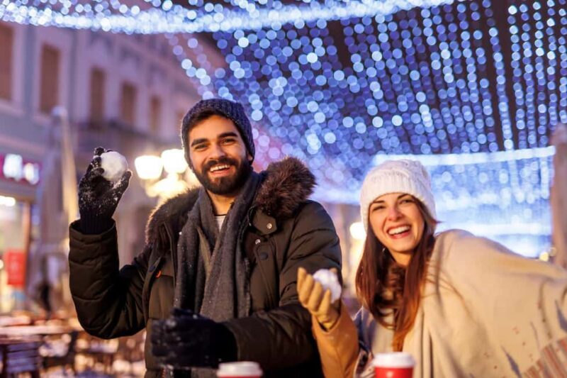 Genevas Winter Wonderland: A Festive Christmas Private Tour - Why This Tour Is a Good Deal