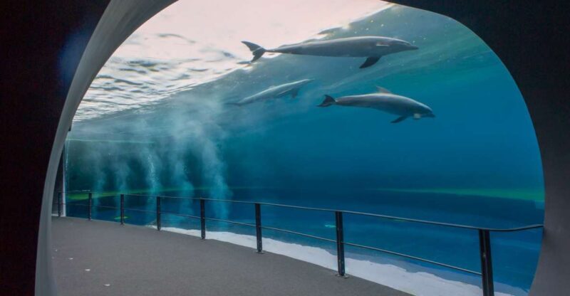 Genoa: Aquarium and FantaCinema Combined Ticket - The Experience in Detail
