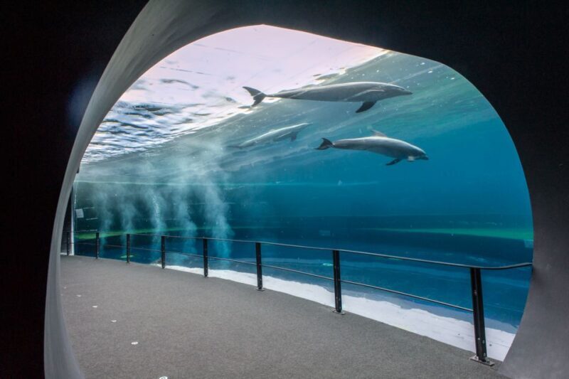 Genoa: Aquarium & Christopher Columbus' House Entry Tickets - An Overview of the Tour’s Highlights