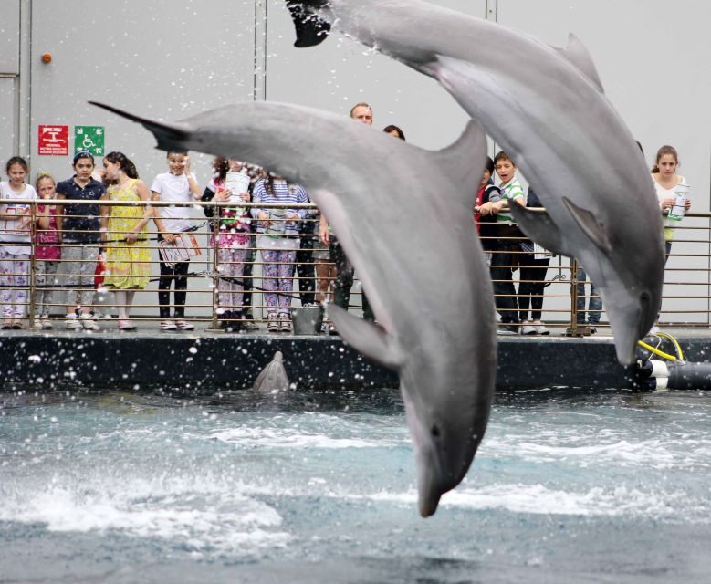 Genoa: Aquarium, Galata Museum and Submarine Entry Tickets - Who Will Benefit Most?