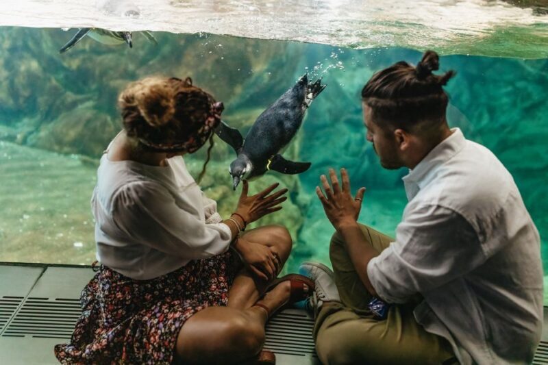Genoa: Aquarium of Genoa Entry Ticket - Final Thoughts