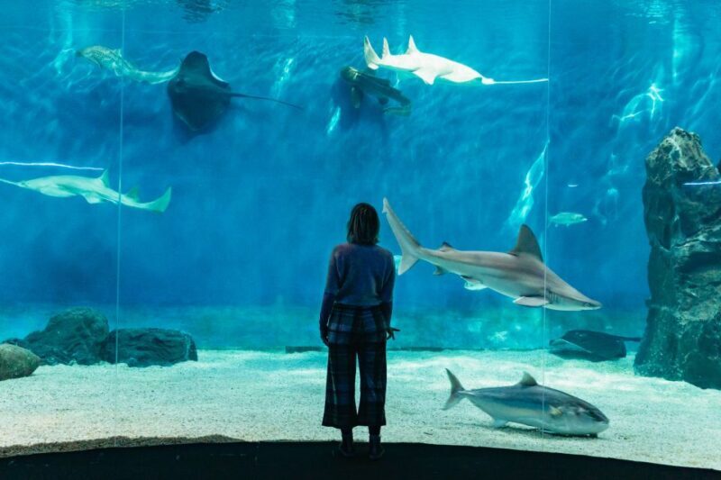 Genoa: Aquarium of Genoa with Lunch - Exploring the Genoa Aquarium Experience