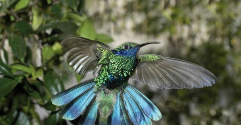 Genoa: Biosfera Entrance Ticket - An In-Depth Look at the Genoa Biosfera Experience