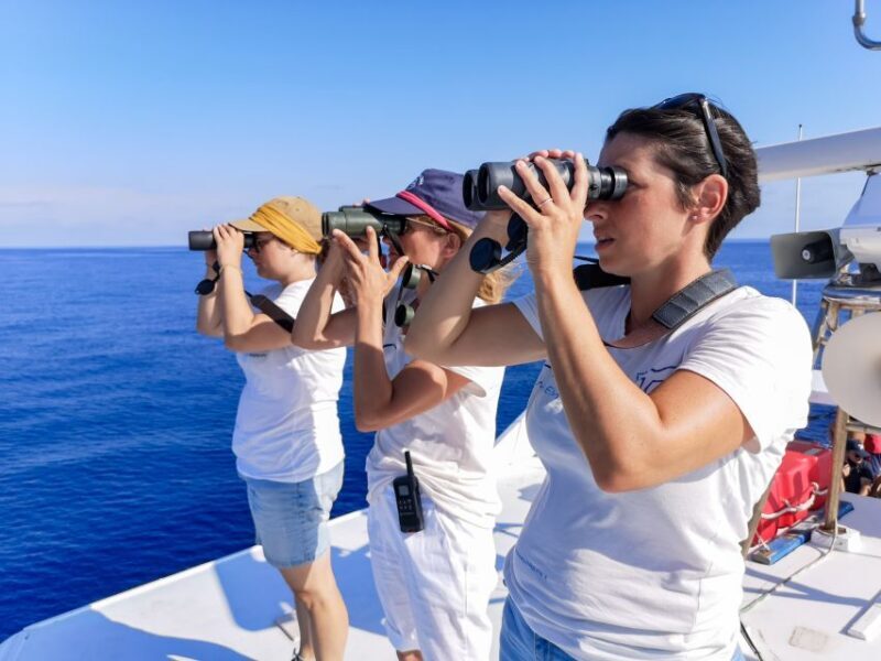 Genoa: Cetacean Watching Cruise with Marine Biologist Guide - Who Will Love This Tour?