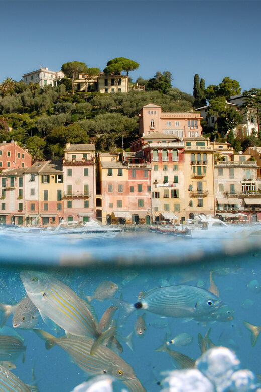 Genoa: Half-Day Tour to Portofino - What Travelers Say