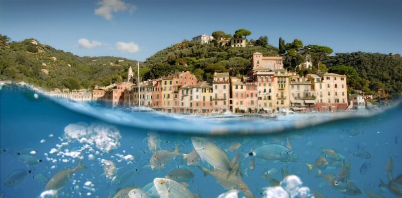 Genoa: Half-Day Tour to Portofino - Conclusions: Who Will Love This Tour?