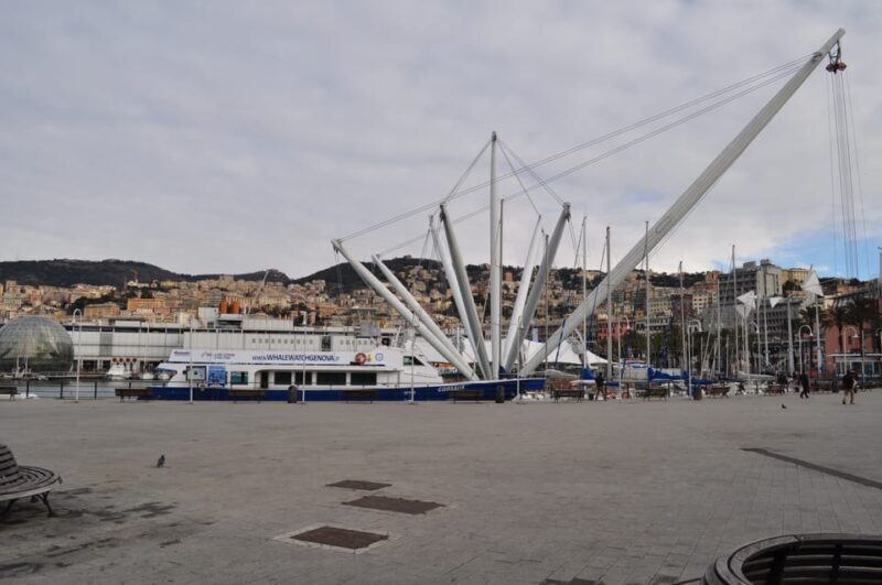 Genoa: Half-Day Tour to Portofino - FAQ