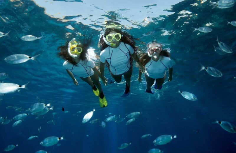 Genoa: snorkeling a stone's throw from downtown - Value for Money and Practical Tips