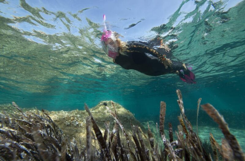 Genoa: snorkeling a stone's throw from downtown - FAQ