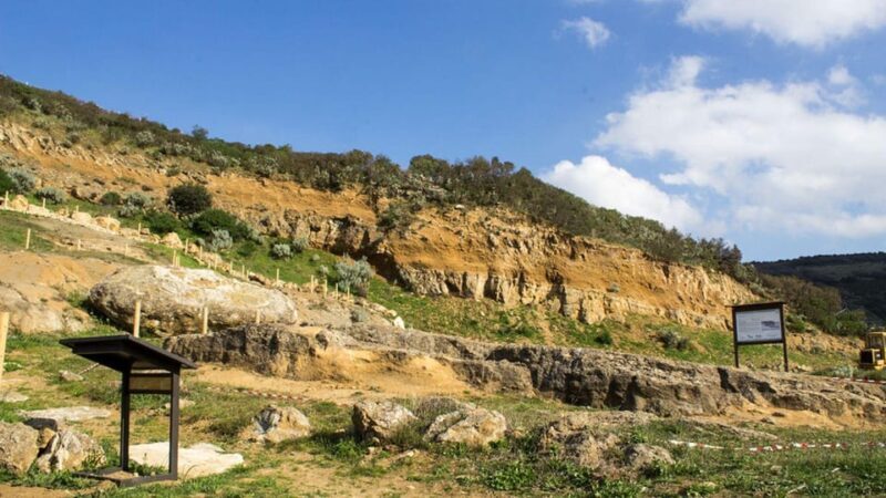 Genoni: discover the Giara Park - From the Reviews