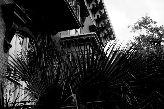 Genteel and Bard's Savannah Dark History and Ghost Encounter Walking Tour - FAQ