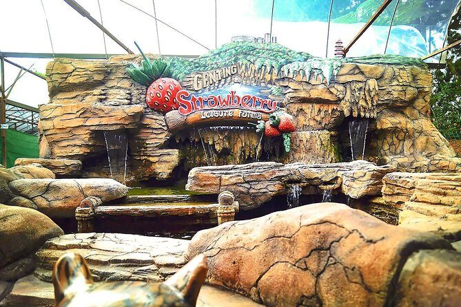 Genting Day Tour From Kuala Lumpur Include 2-way Cable Car Ride - Transportation and Timing: How It All Comes Together