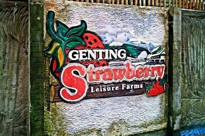 Genting Highland Day Tour - The Practical Aspects: Transportation, Timing, and Cost