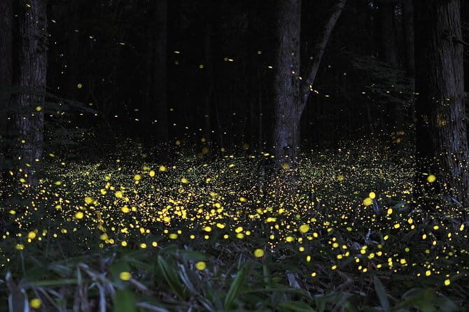 Genting Higland Tour En-route Batu Caves Include Cable-Car Tickets - Who Should Take This Tour?