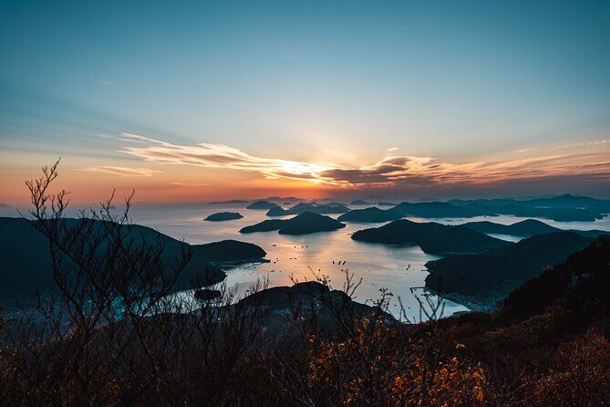 Geoje Oedo Botania Island from Busan - Who Will Love This Tour?