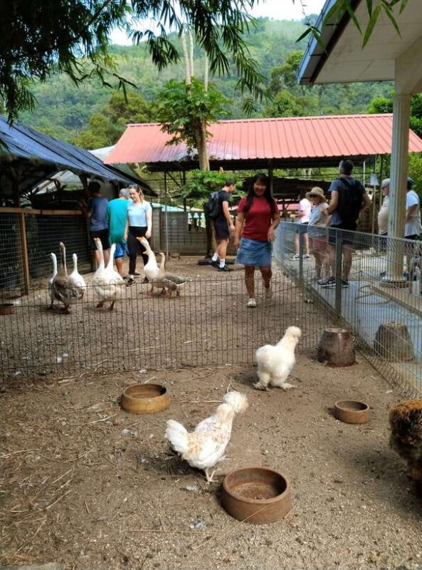 George Town, Penang: Malay Countryside Cycling - Detailed Breakdown of the Experience