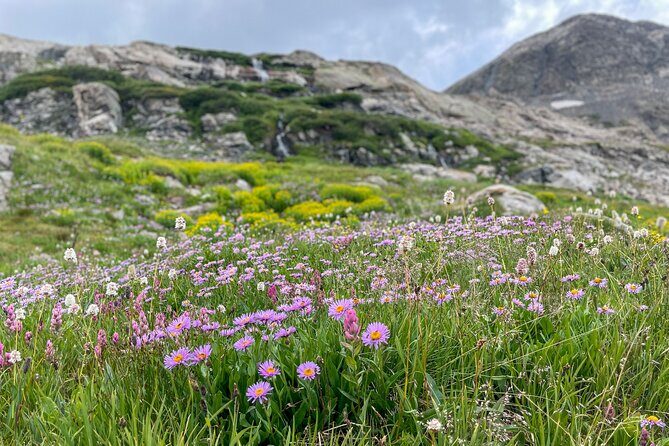 Georgetown via Guanella Pass Private Colorado Adventure Tour - The Authentic Colorado Experience: What Travelers Say