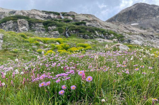 Georgetown via Guanella Pass Private Colorado Adventure Tour - Final Thoughts: Is This Tour Right for You?