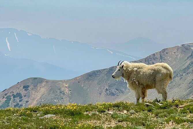 Georgetown via Guanella Pass Private Colorado Adventure Tour - In Closing