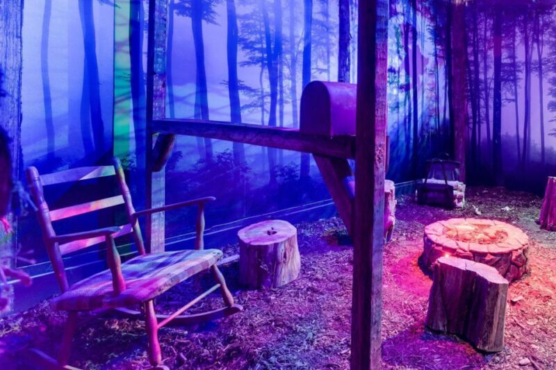 Georgetown, Washington DC: Escape Room Adventure - The Value of the Experience