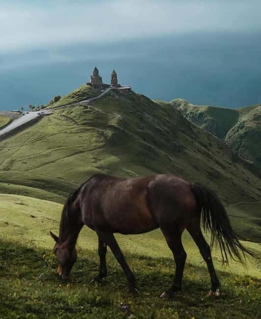 Georgia: 5-Day Cultural & Nature Tour with Hotel & Transport - The Sum Up: Who Will Love This Tour?