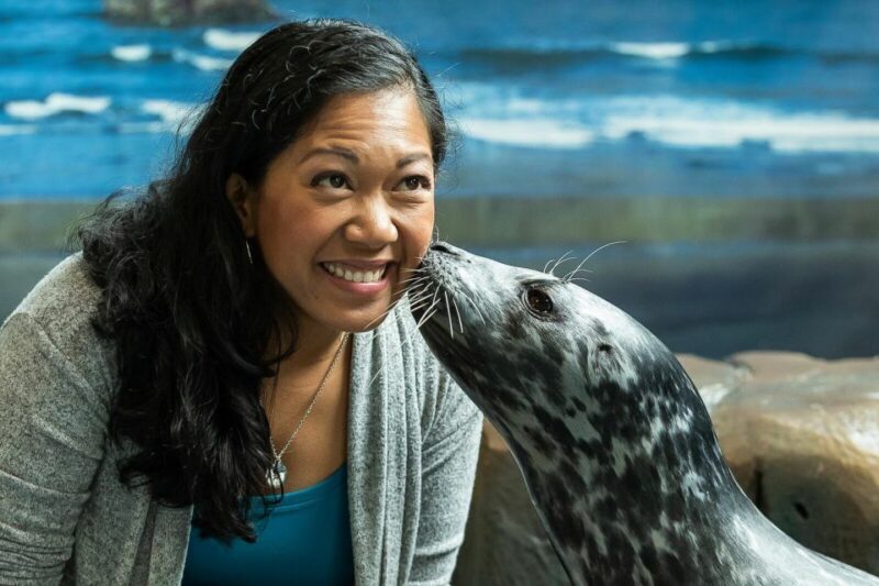 Georgia Aquarium: Sea Lion Encounter - An Authentic Look at the Sea Lion Encounter