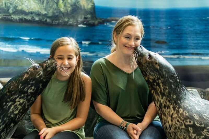 Georgia Aquarium: Sea Lion Encounter - An In-Depth Look at the Sea Lion Encounter Experience