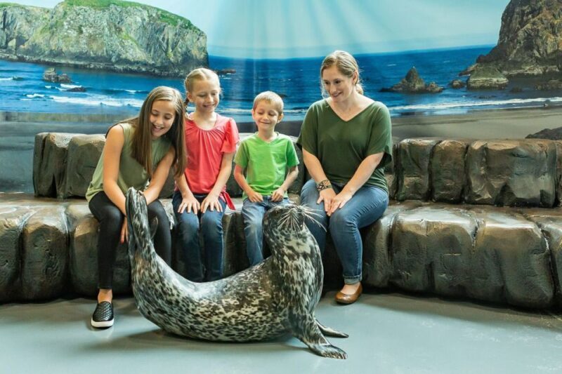 Georgia Aquarium: Sea Lion Encounter - Practical Tips for Visitors