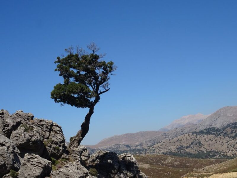Georgioupolis Full-Day Land Rover Safari Experience - Frequently Asked Questions
