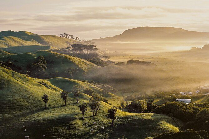 Geothermal & Nature Full Day Private Tour : Rotorua & Taupo - Key Points