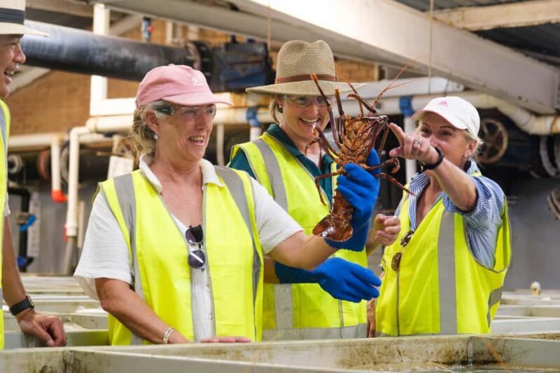 Geraldton: Behind-The-Scenes Ocean Harvest Tour - An Overview of the Experience