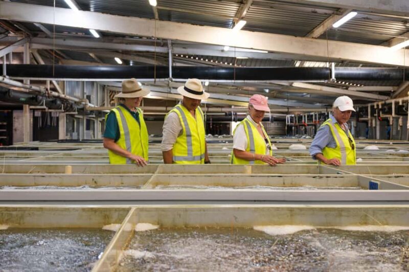 Geraldton: Behind-The-Scenes Ocean Harvest Tour - Final Thoughts