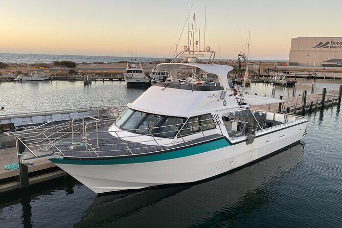 Geraldton Lobster Pot Pull - The Scenic Voyage and Wildlife Viewing
