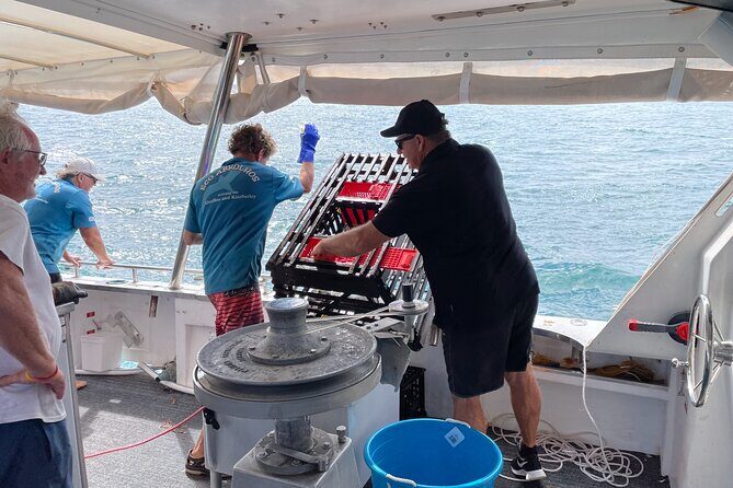 Geraldton Lobster Pot Pull - Price and Value