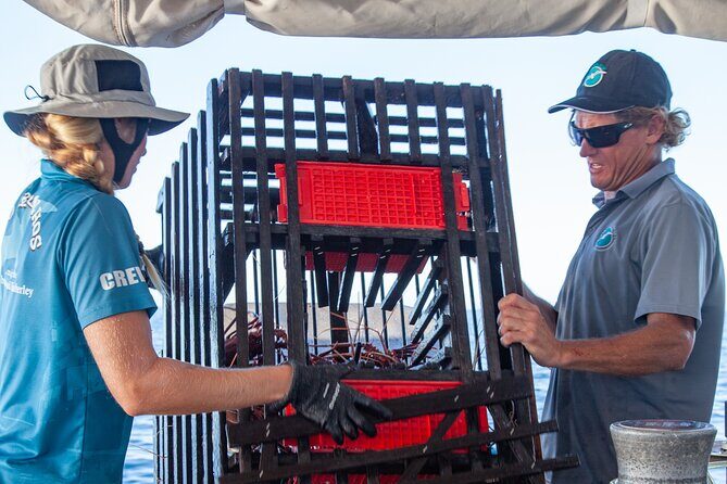 Geraldton Lobster Pot Pull - Who Should Consider This Tour?