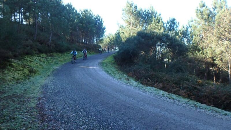 Gerês National Park: Self-guided E-Bike Tour - Authentic Feedback from Riders