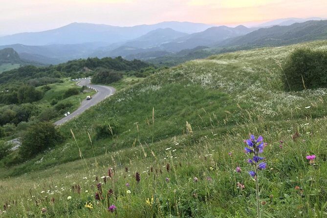 German village in Georgia (Elisabethal) & Wine tasting - Who Should Consider This Tour?