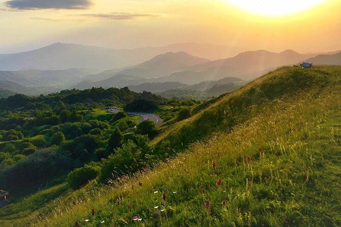 German village in Georgia (Elisabethal) & Wine tasting - FAQs