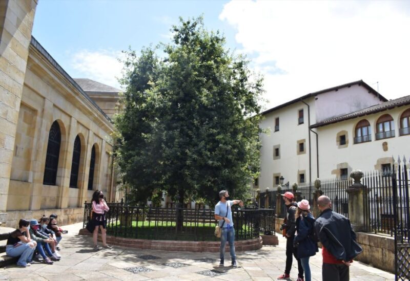 Gernika Walking Tour: War and Peace - Who Should Consider This Tour?