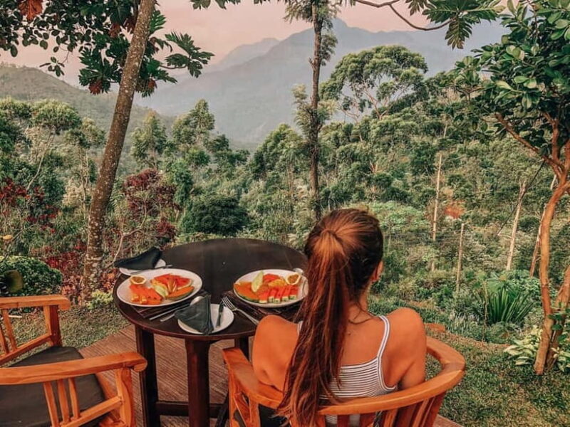 Get a private driver for day tours around Sri Lanka - The Practical Details of the Tour Experience