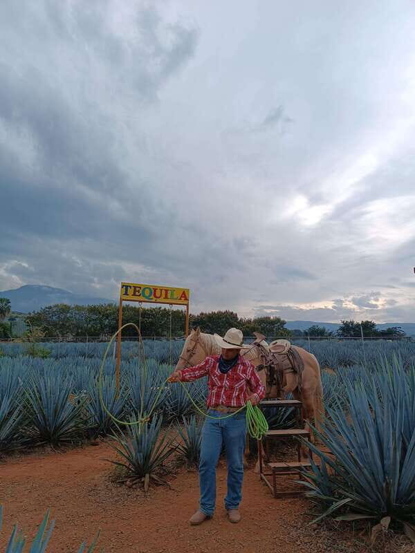 Get on Chile: know everything about tequila in "La Rienda" - An In-Depth Look at the Tour Experience