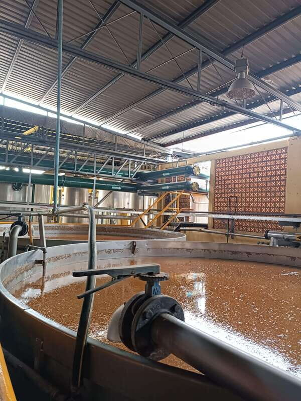 Get on Chile: know everything about tequila in "La Rienda" - The Overall Experience