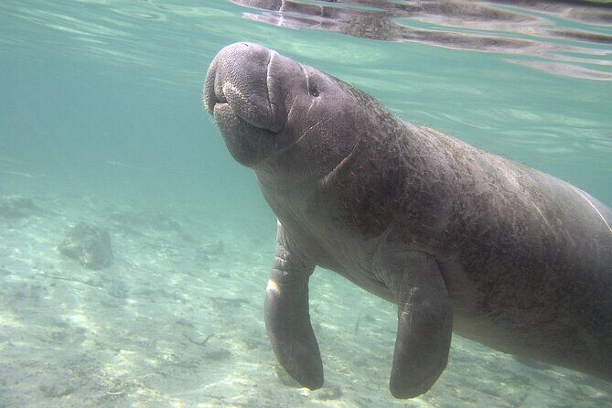 Get SCUBA Certified at San Juan - The Facilities and Location