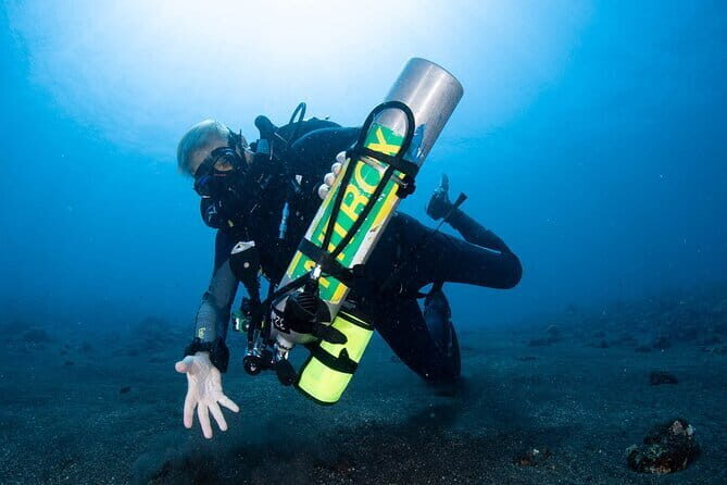 Get SSI Nitrox Certified Includes 2 Liberty Wreck Dives - Key Points