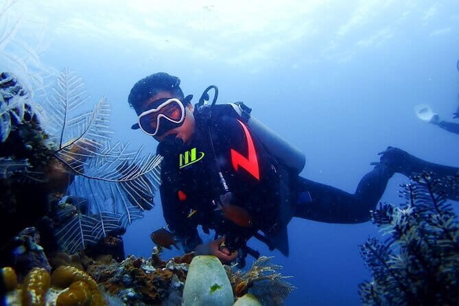 Get SSI Nitrox Certified Includes 2 Liberty Wreck Dives - Authenticity and Traveler Feedback